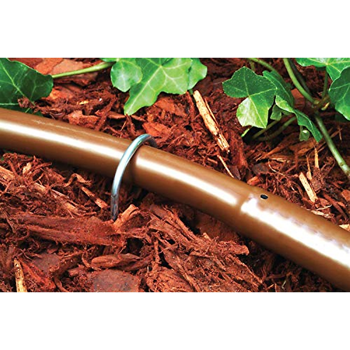 Rain Bird GS50/10PS Drip Irrigation 6" Galvanized Wire Stake for 1/2" Tubing, 10-Pack - Packaging May Vary