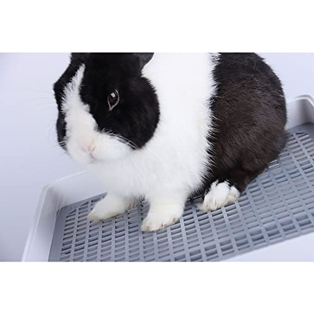 RUBYHOME Super Large Rabbit Litter Box 15" L x 12" W, Rabbit Potty Box Litter Pan for Cage, Extra Large Bunny Restroom Litter Tray Rabbit Toilet