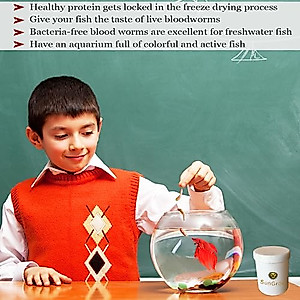 SunGrow Freeze Dried Bloodworms for Betta and Tropical Fish, 0.52 oz., High Protein Treat, Floating Food for Breeding Tanks