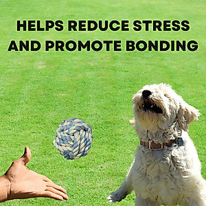 Otterly Pets Dog Toys for Medium Breed Dogs Rope Dog Ball Aggressive Chewers Cotton Balls Outdoor and Indoor Play (4-Pack)