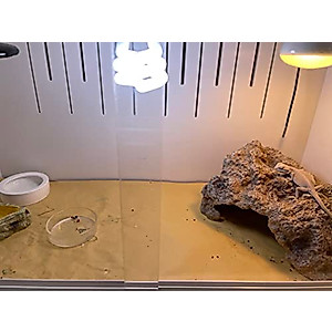 Flushbay Reptile Rock Hide Cave Resin Large Reptile Hideouts Habitat Cave Terrarium Decorations for Bearded Dragon Lizards Geckos Leopard Chameleons Frogs Turtles Snakes