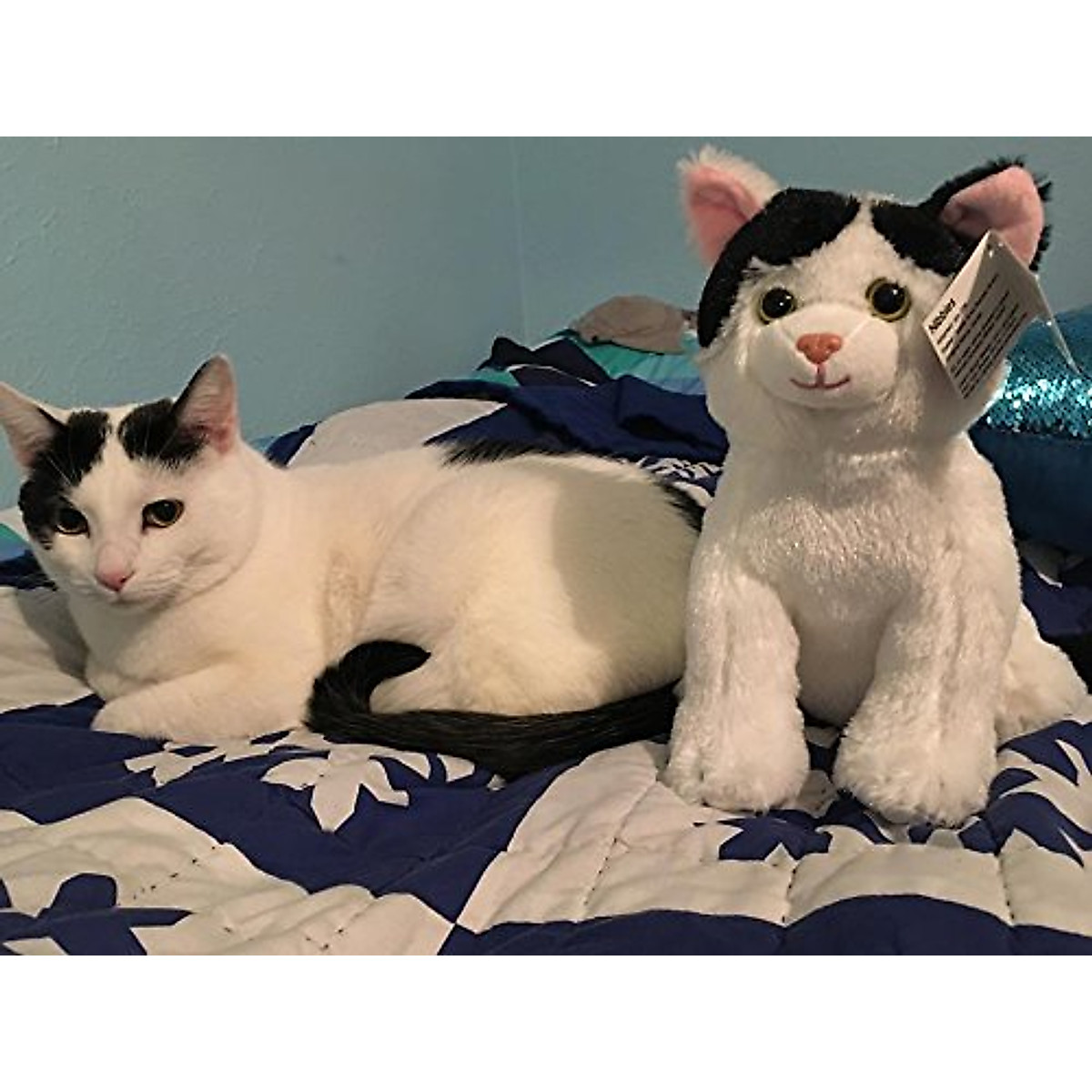 Shelter Pets Series One: Nibbles The Cat - 10" White and Black Kitten Plush Toy Stuffed Animal - Based on Real-Life Adopted Pets - Benefiting The Animal Shelters They were Adopted from