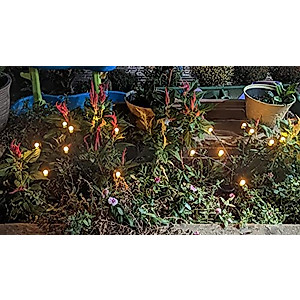 Domipool Solar Lights Outdoor Waterproof - Swaying Solar Garden Lights, Firefly Lights with Highly Flexible Copper Wires, Yard Pathway Christmas Landscape Stake Lights, 2 Packs