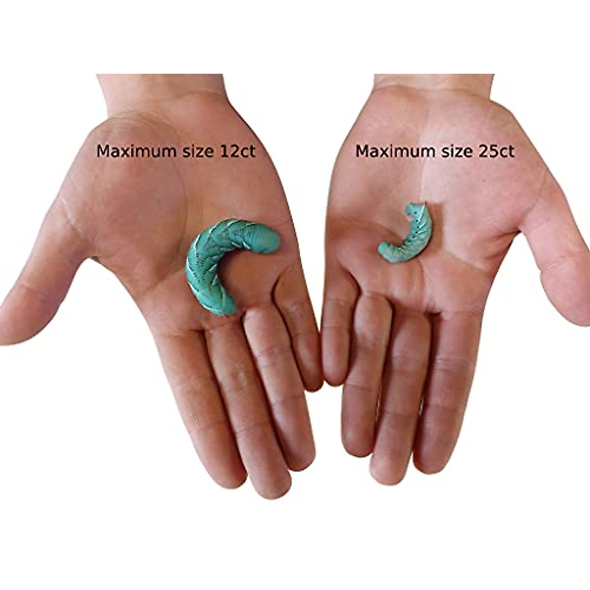 Josh's Frogs Hornworms Habitat Cup (25 Count Cup)