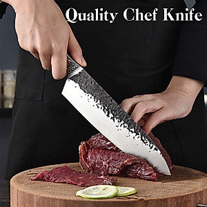 DRAGON RIOT Chef Knife 8 Inch Professional Kitchen Knives High Carbon Steel Japanese Chef's Knife Meat and Vegetable Cooking Knife for Home Restaurant