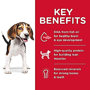 Hill's Science Diet Dry Dog Food, Puppy, Chicken Meal & Barley Recipe, 30 lb. Bag