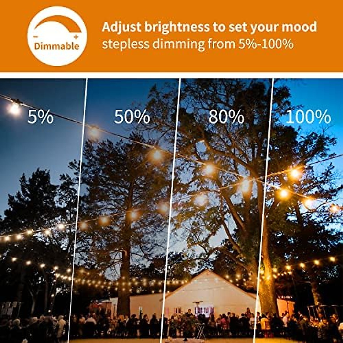RTTY Solar String Lights Outdoor Waterproof 100ft with Remote and 52 Edison Bulb,Dimmable&Shatterproof,ST38 Solar Powered String Lights for Outside,Patio,Porch