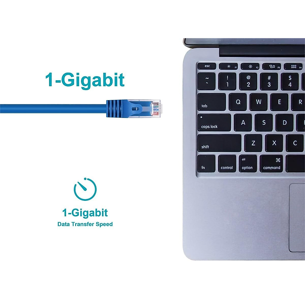 Monoprice Cat6 5ft Blue 12-Pk Patch Cable UTP 24AWG 550MHz Pure Bare Copper Snagless RJ45 Flexboot Series Ethernet Cable