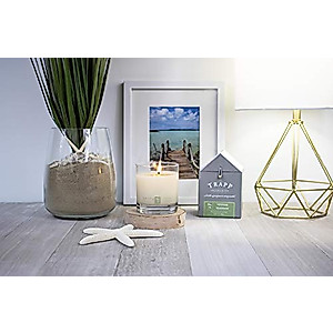 Trapp 7oz Signature Home Collection Poured Scented Candle - No. 73 Vetiver Seagrass