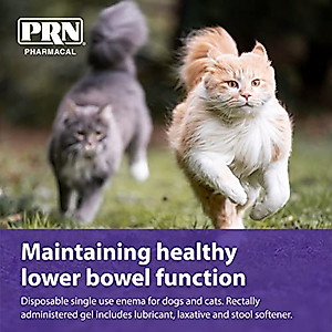 PRN Pharmacal PetEma - Disposable Single Use Enema for Cats - Rectally Administered Gel Containing Lubricant, Laxative & Stool Softener - with Glycerin & Sorbic Acid - 6 mL Syringe - 3 Pcs