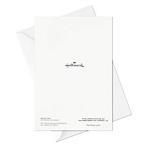 Hallmark Birthday Cards Assortment, 12 Cards with Envelopes (Premium Refill Pack for Hallmark Card Organizer Box)