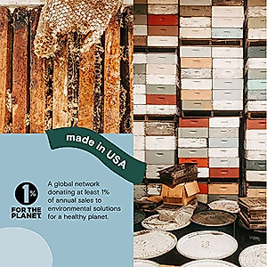 Conscious Step Natural Beeswax Scented Handmade Candle Gifts That Give Back | Cinnamon Sugar I 100% Natural, Non Toxic, Long Lasting | Every Candle Builds Homes