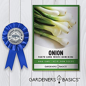 Green Onion Seeds for Planting - Tokyo Long White Bunching is A Great Heirloom, Non-GMO Vegetable Variety- 200 Seeds Great for Outdoor Spring, Winter and Fall Gardening by Gardeners Basics