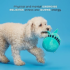 Barkbox Squeaky Dog Toys - Plush and Squeak Chew Toys | Puppy and Pet Toys for Small, Medium, and Large Dogs | Lady Liberty Ball (Medium/Large)