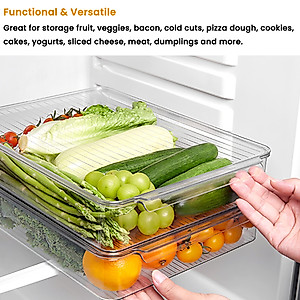 vacane Stackable Freezer Organizer, Clear Produce Saver Sliced Cheese Container with Lids, Freezer Storage Containers Food Storage Tray for Fruits, Vegetables, Meat