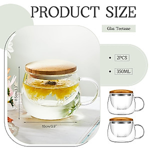 Uiifan Set of 2 Glass Tea Cup with Infuser and Lid 11.8 oz Clear Glass Mugs Thickened Glass Tea Infuser Cup with Removable Strainer for Steeping Blooming Tea Loose Leaf Tea Bag Family Daily