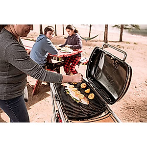 Weber Traveler Portable Gas Grill, Blue