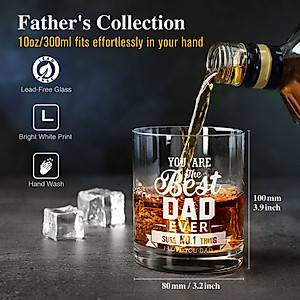 Kollea Christmas Gifts for Dad from Daughter, 10 Oz You Are The Best Dad Ever Whiskey Glass, Funny Gag Birthday Gift Ideas for Men Daddy Papa Who Have Everything