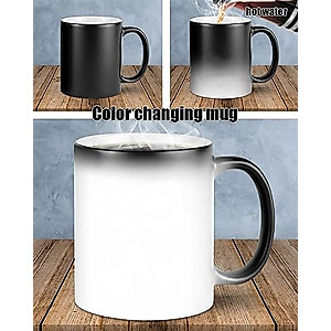 Friends Mug - Congrats on being my Sister - Personalized Mug - Gift For Best Friend Sister Halloween Birthday Christmas Funny Coffee Mug Gift For Besties Sistas You Lucky Bitch Christmas Mug