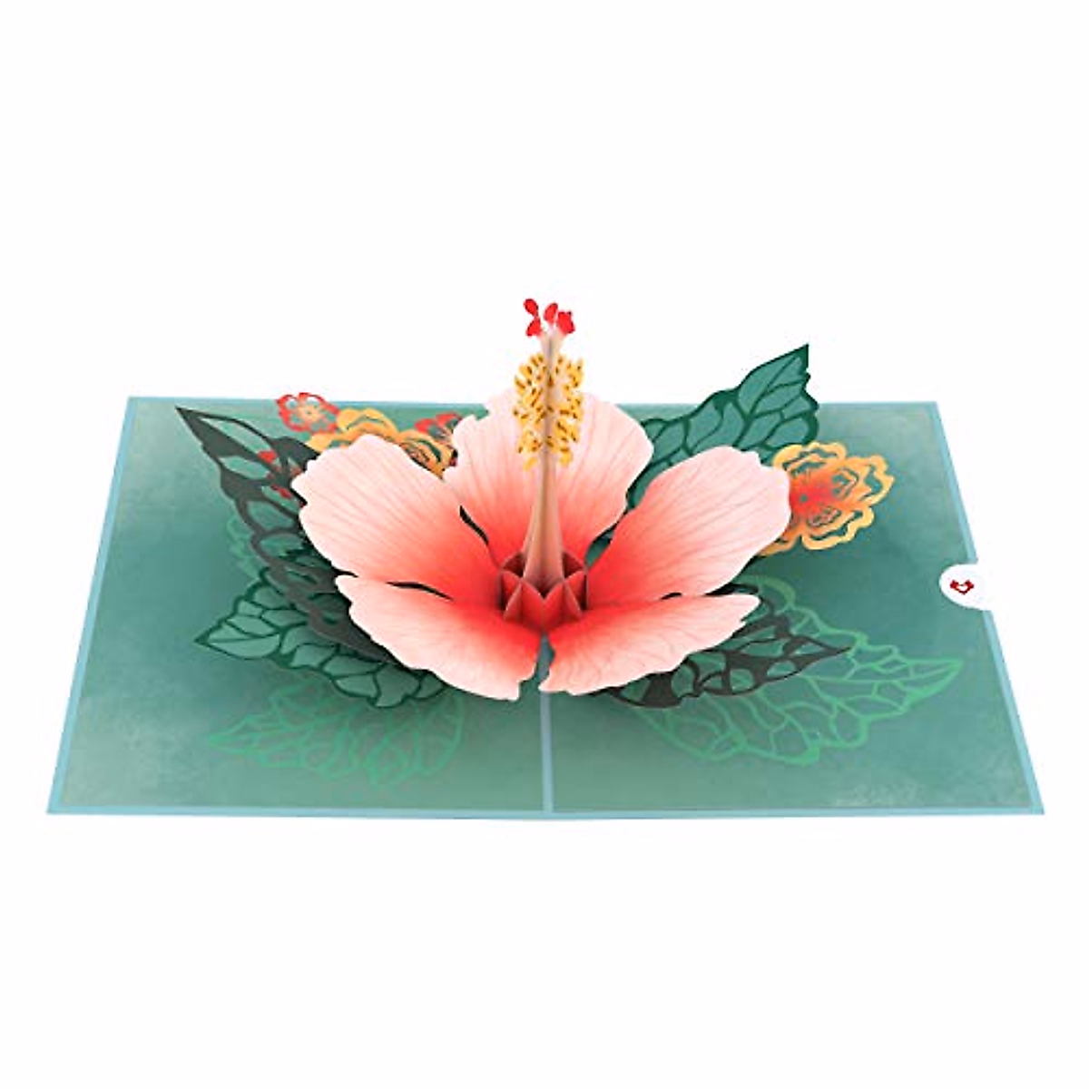 Lovepop Hibiscus Bloom Pop Up Card, 5x7-3D Greeting Card, Pop Up Paper Flower Card, Mother's Day Pop Up Card, Card for Mom, Wife or Friend, Pop Up Anniversary Card, Thinking of You