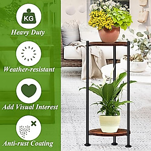 Lilybud--lily Plant Stand Indoor Outdoor, 30'' Tall Plant Stands for Indoor Plants, Heavy Duty Indoor Plant Stands, 2 Tier Flower Stand for Living Room, Balcony, Deck
