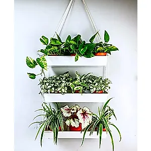 LaLaGreen Hanging Wall Planter - 16 Inch Three Tier Plant Hanger for Succulent Indoor Herb Planter Modern White Boho Metal Wall Plant Holder Decor, Vertical Garden Hanging Planter Shelf Large Outdoor