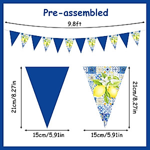 Blue and Lemon Party Decorations - 3pcs Lemon Bunting Banners, Lemonade Hanging Triangle Banner Garland for Lemon Wedding Engagement Bridal Shower Bachelorette Baby Shower Birthday Party