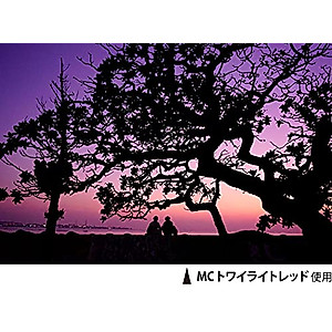 Kenko 52mm Twilight Red Multi-Coated Camera Lens Filters