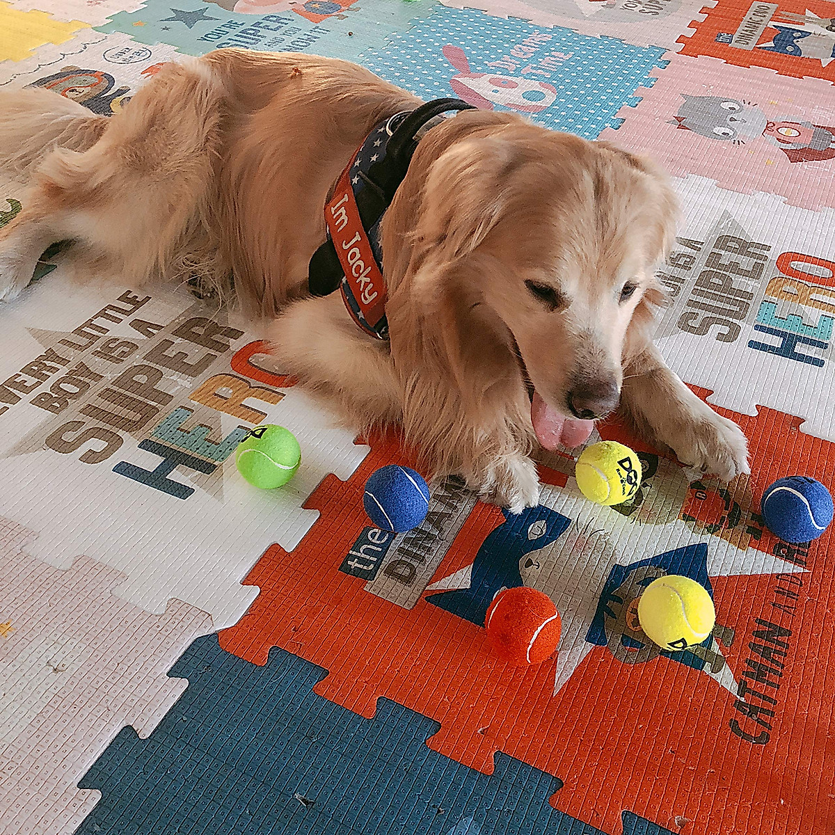 insum Tennis Ball for Dog Pack of 12 Colorful Easy Catching Pet Dog Ball (2.5inch-4colors)