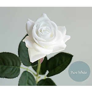 Angel Isabella, LLC Real Touch Rose - 1 Dozen(12 Stems) Life-Like Realistic Touch Artificial Flowers for Decor, Wedding, Crafts (White)