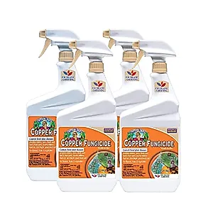 COPPER FUNGICIDE RTU QT