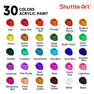 Shuttle Art 54 Pack Acrylic Paint Set, Acrylic Painting Set with 30 Colors Acrylic Paint, Wooden Easel, Painting Canvas, Paint Brushes, Palette, Art Painting Supplies for Kids Adults Beginner Artists