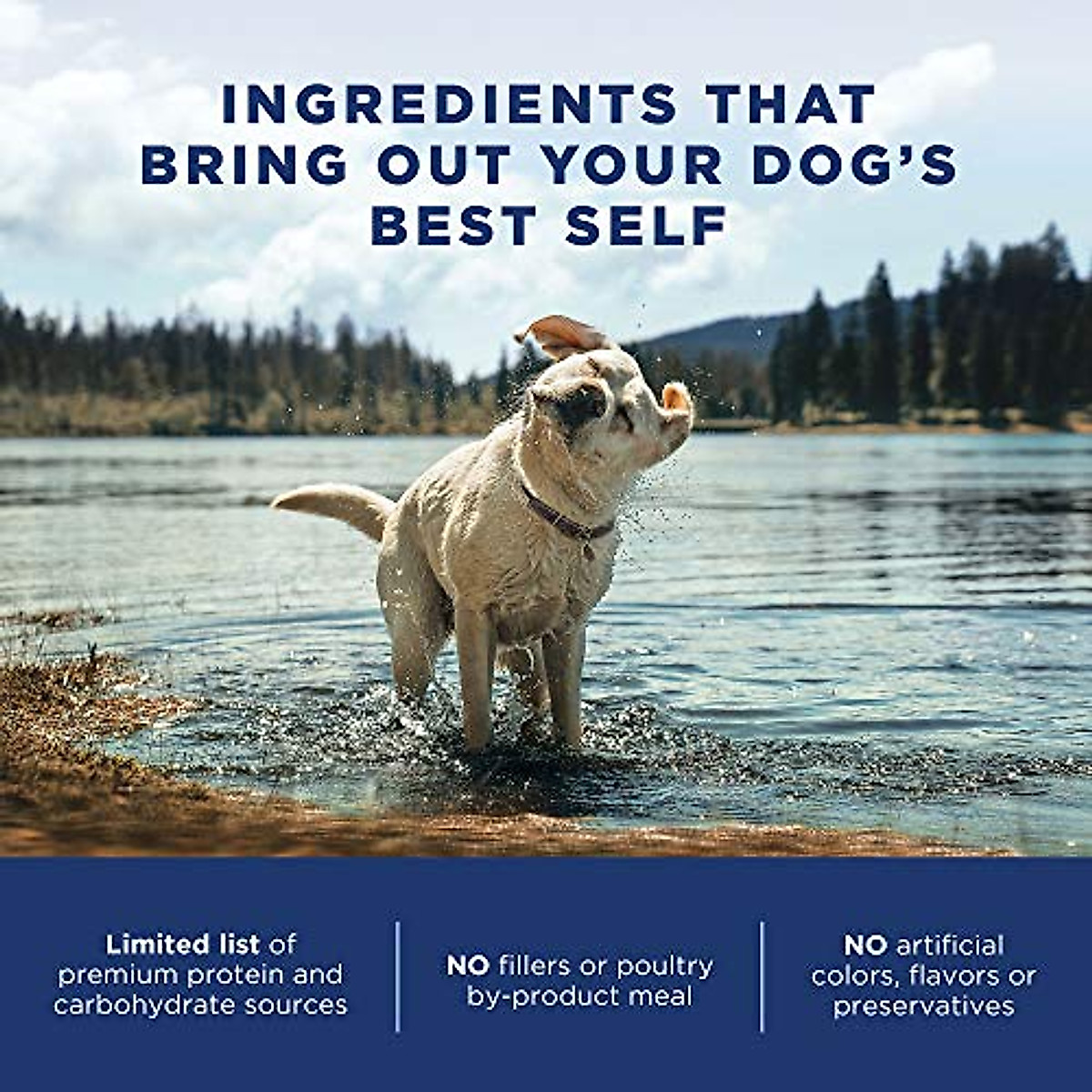Natural Balance Limited Ingredient Diet Duck & Potato | Puppy Formula Grain-Free Dry Dog Food | 24-lb. Bag