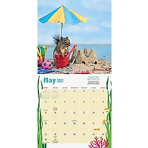 The Secret Life of Squirrels Wall Calendar 2021