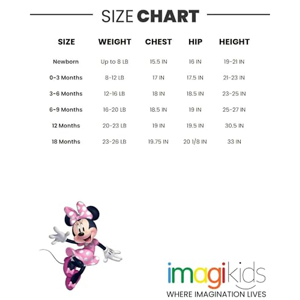 Disney Minnie Mouse Infant Baby Girls Bodysuit T-Shirt Mesh Skirt and Leggings 4 Piece Layette Set Dark Multipack 18 Months