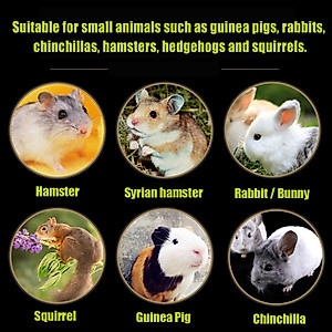 Hamiledyi 18 Pack Bunny Grass Woven Bed Mat Natural Straw Hay Mats Rabbit Handmade Bedding Sleeping Grinding Nesting and Chewing Toy for Guinea Pig Hamster Chinchilla Squirrel Hedgehog