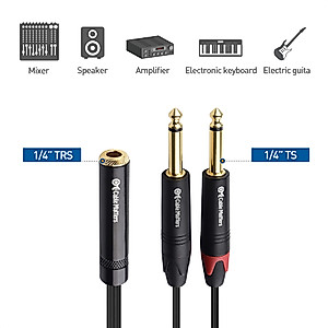 Cable Matters 2-Pack 1/4 TRS to Dual TS Stereo Audio Splitter Cable (Dual 1/4 Inch TS to TRS Female Adapter) in Black - 6 Inches / 0.15 Meters