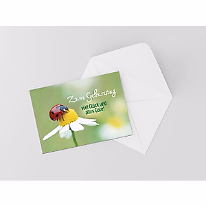 Burg Street Creations German Birthday Card - Zum Geburtstag Viel Glück und Alles Gute (Ladybug on a Daisy)