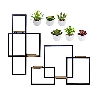 Wall Shelf Succulent Home Decor Bundle | 8 Piece Set | Beautiful Wall Decor