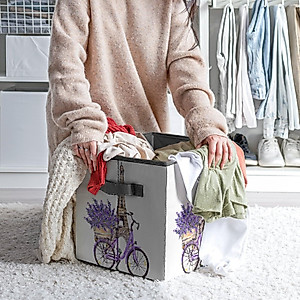 GemGam Collapsible Storage Bins for Shelves Clothes Closet Lavender Eiffel Tower Fabric Storage Containers Box with Double Handles Decorative 11 Inch Spring Bicycle