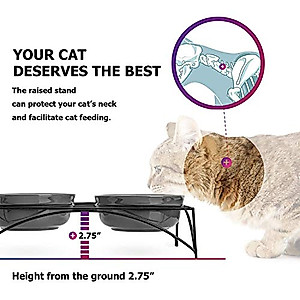 Y YHY Cat Food Bowls, Elevated Cat Bowls, Raised Pet Food Water Bowls with Stand, Ceramic Pet Bowls for Cat or Dogs, 12 Ounces Cat Dishes, Grey