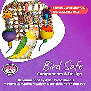 Super Bird Creations SB965 Mini Seagrass Foraging Wall Bird Toy, Small/Medium Bird Size, 8" x 7" x 4"