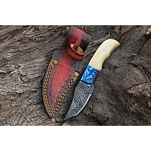 KNIFEIFY skinner fixed blade Knife: Handcrafted Elegance with Bone Handle - Perfect for Collectors and Outdoor Enthusiasts (CAMEL BONE)