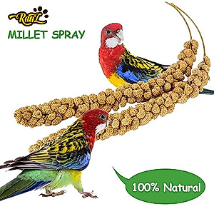 RANZ 5LBS Millet Spray for Birds, GMO-Free, Sun Dried Spray Millet, Original Bird Treats & Supplement for Parrots, Cockatiels, Lovebirds, Painted Buntings and Finches, Parakeets Food Millet