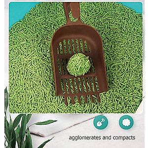 Edible Cat Litter Water Soluble Cat Litter - Tofu Cat Litter，Low Dust Litter, 100% Edible Soybean and Corn Materials，2mm Diameter ，Fast Agglomeration - 5 Lb (Green Tea)