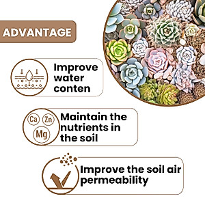 12QT Vermiculite, 2-4mm Fine Grade Horticultural Vermiculite for Plants and Gardening, Vermiculite Bulk houseplants Mushrooms to Maintain Soil Moisture and Plant Growth