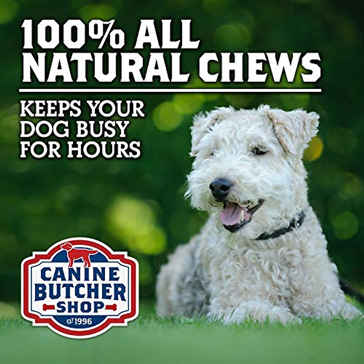 Canine Butcher Shop Always USA Made Pig Ears for Dogs, All Natural, Sourced in USA Pig Ears, Digestible Pork Dog Chew Treat (30-Pack)