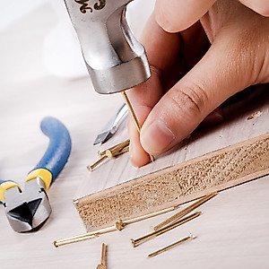 Mr. Pen- Nail Assortment Kit, 600 Pcs, 4 Sizes, Gold, Small Nails, Nails for Hanging Pictures, Finishing Nails, Wall Nails for Hanging, Pin Nails, Hardware Nails, Assorted Nails, Galvanized Nails.