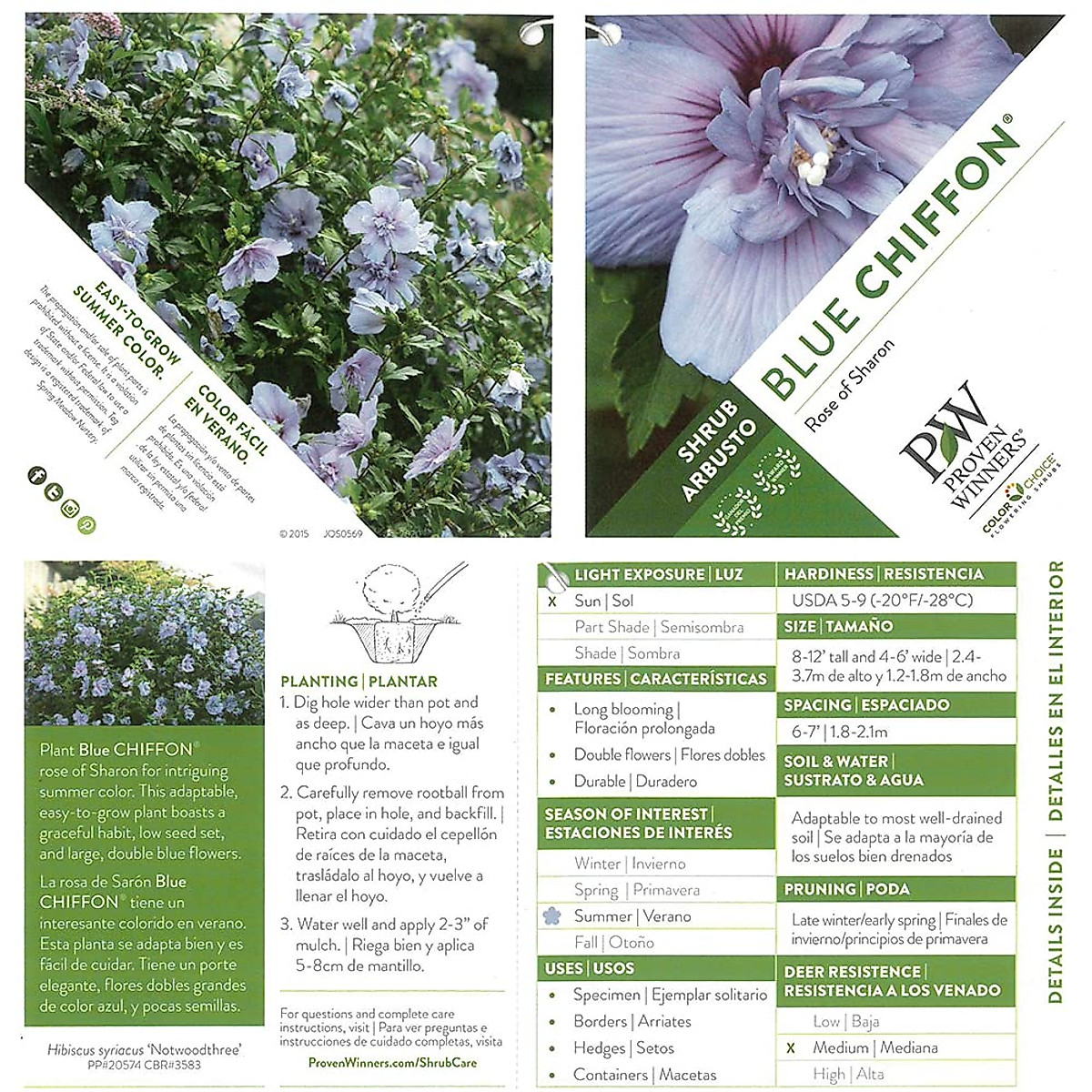 2 Gallon Proven Winners Blue Chiffon Hibiscus