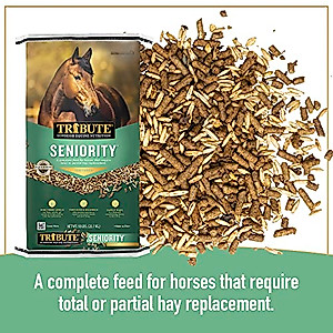 Kalmbach Feeds Tribute Maturity Textured for Horse, 50 lb